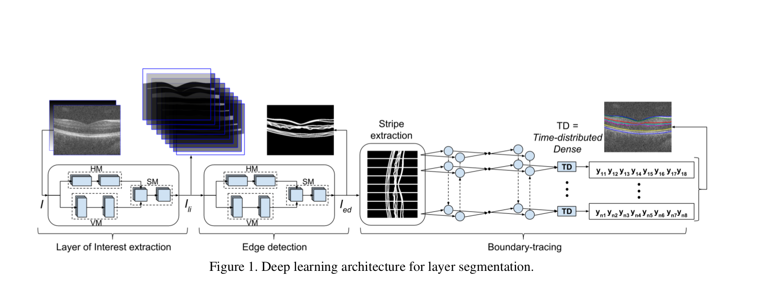 A deep learning framework for segmentation of retinal layers from OCT ...